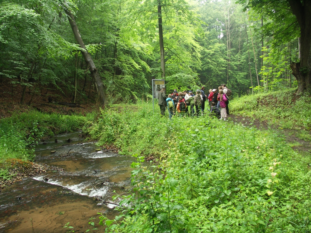 Entdeckertour durch den Naturpark Barnim - Naturpark Barnim