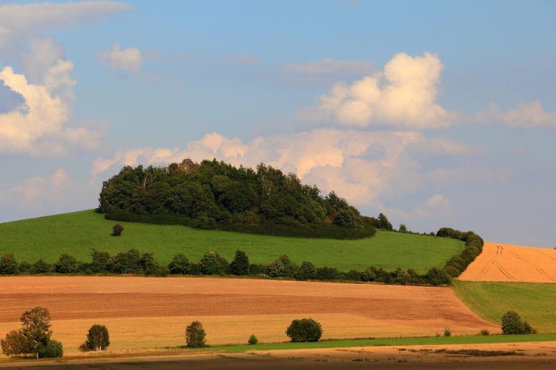 Die Sonne gebar... - Bild des Tages