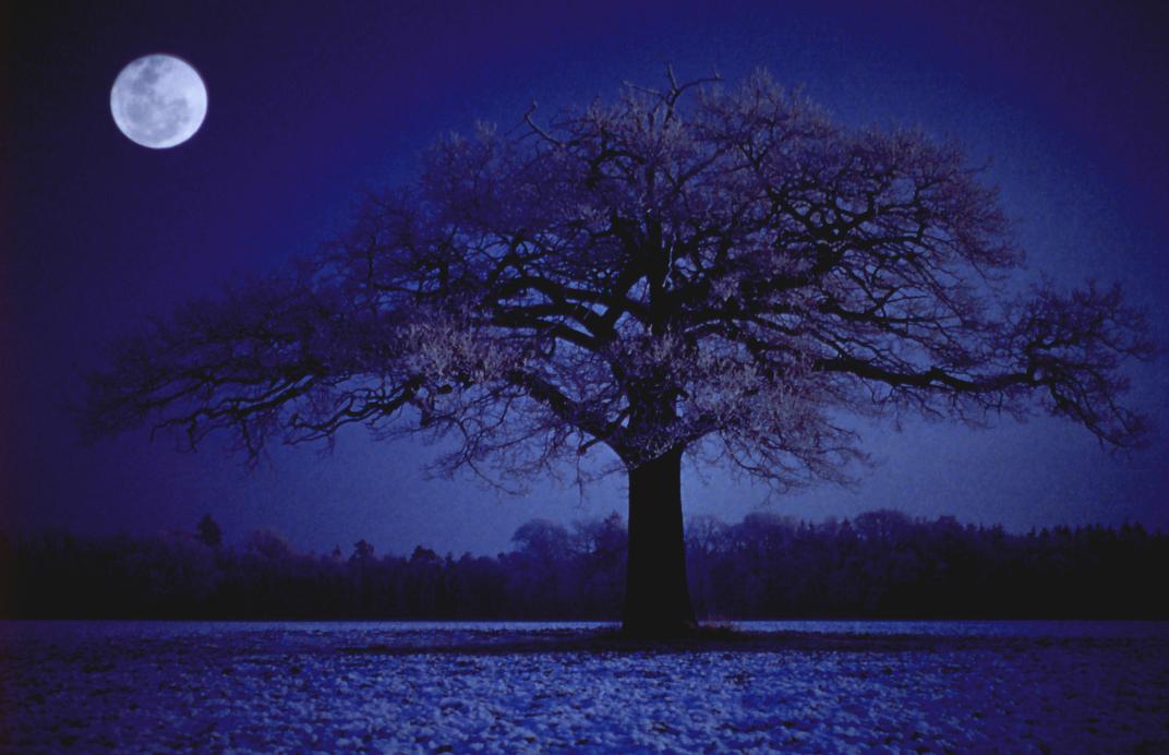 Winternacht - Bild des Tages