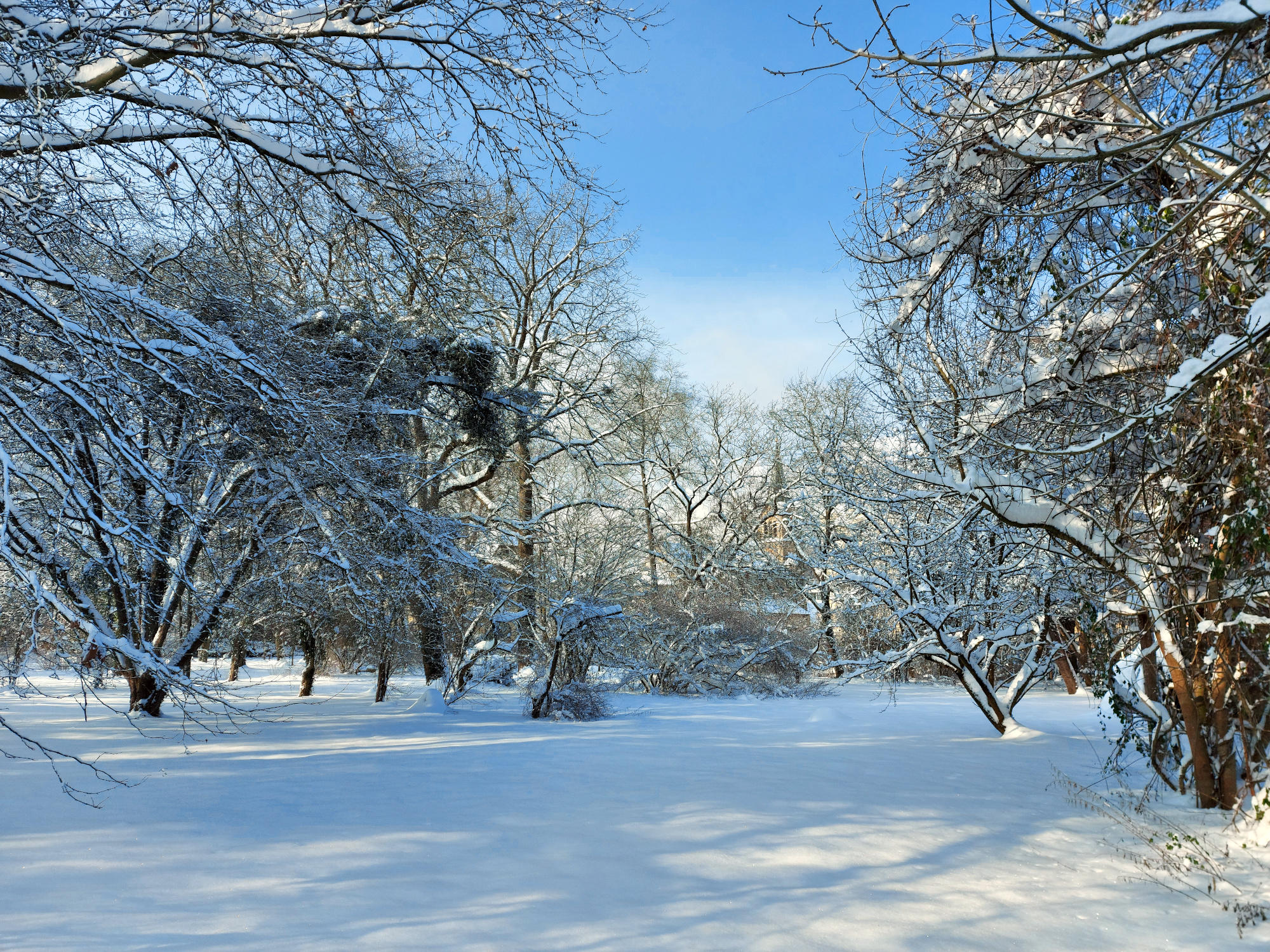 Schnee im Forstbotanischen Garten - Naturpark Münden Schnee im Forstbotanischen Garten - Naturpark Münden