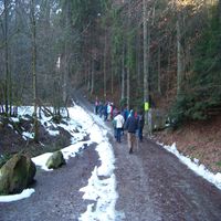 Naturpark aktiv: Winterzauber im Welzheimer Wald - Naturpark Schwäbisch ...