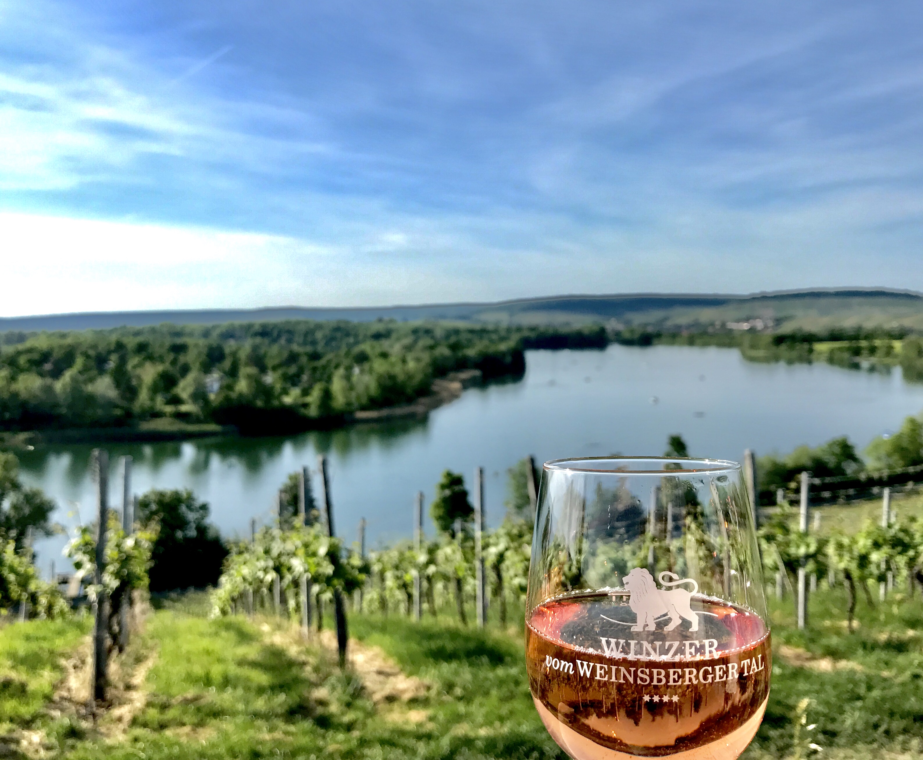 Die Winzer vom Weinsberger Tal - Naturpark Schwäbisch-Fränkischer Wald
