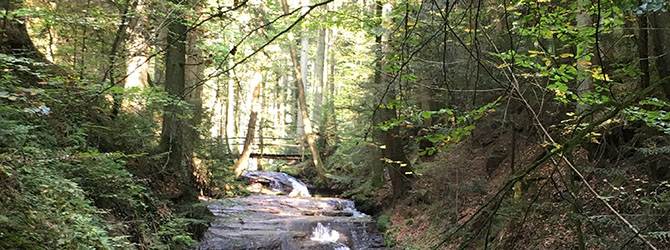 Header September - Naturpark Schwäbisch-Fränkischer Wald