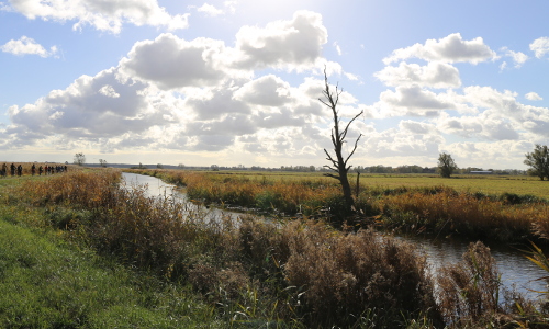 Die Peene: Natur pur