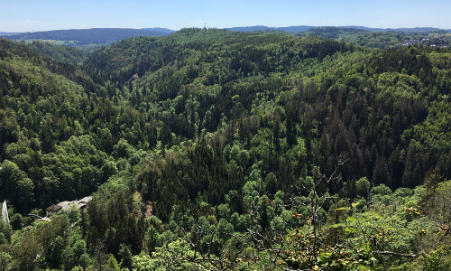 Naturpark Frankenwald