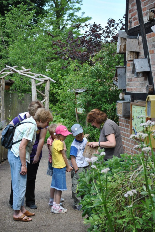Naturpark Stechlin-Ruppiner Land